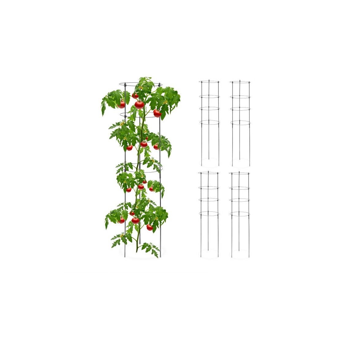 Trellis 120 cm set of 5